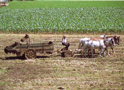 The Flemish Influence on the American Pilgrims - Part 3 | The Brussels ...